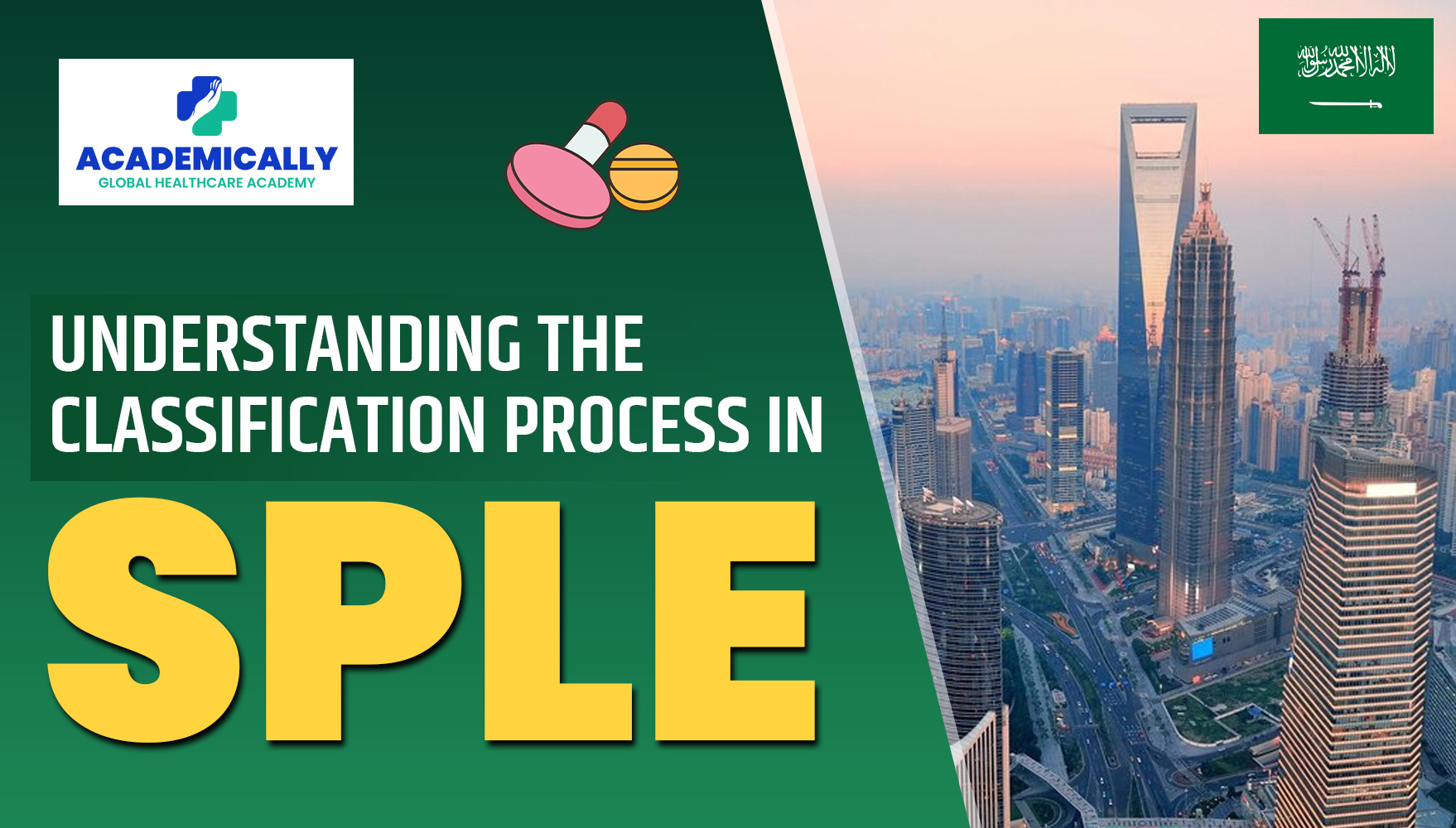 Understanding the Classification Process in SPLE | Academically Global