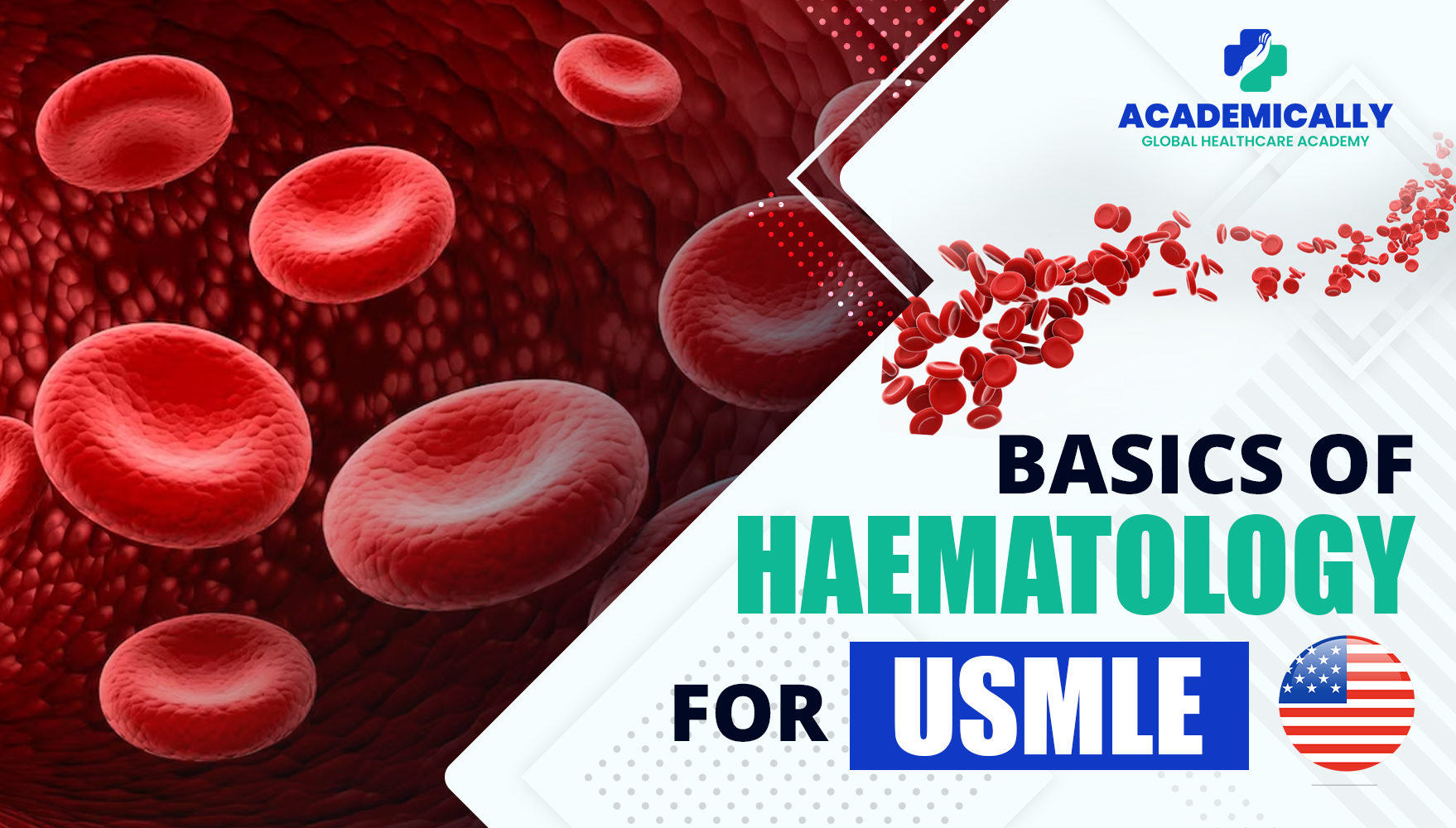 Basics Of Haematology For USMLE | Academically Global