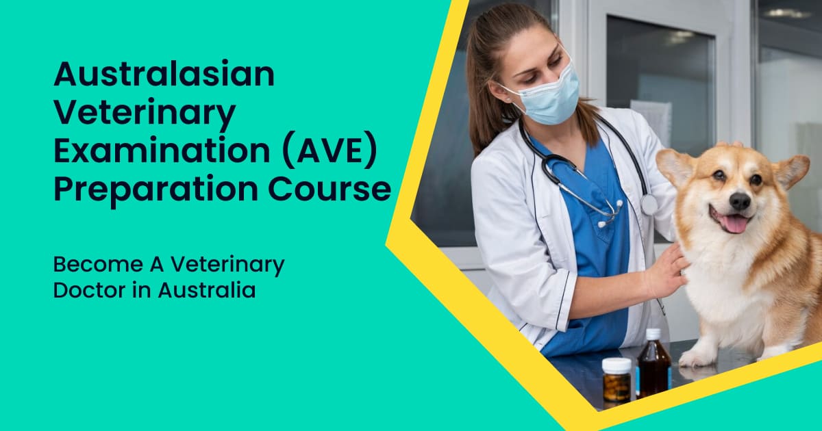 AVE Exam Course for Veterinary Doctors for Australia | Academically